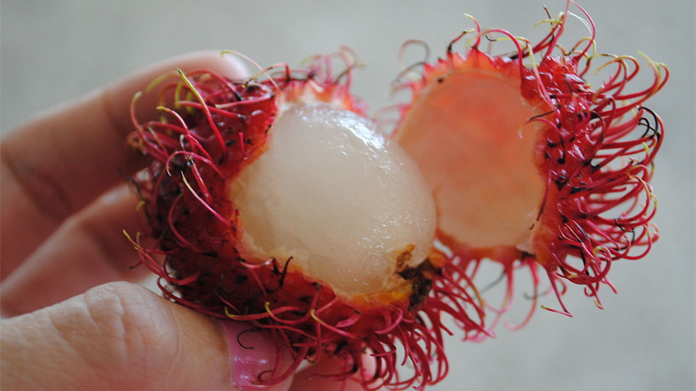 Las Frutas Crecen En California La Fruta De Hueso De California
