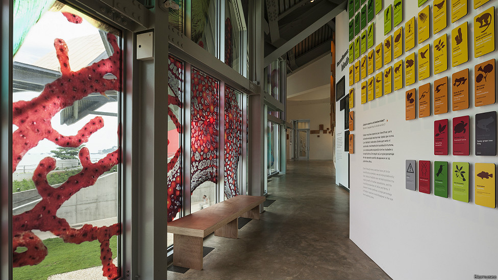 El Biomuseo de Panamá: un hito en el corazón de las Américas | Acento