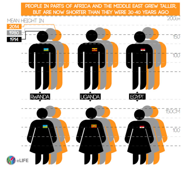 Kaum pria Belanda dinobatkan sebagai pria tertinggi di dunia ...